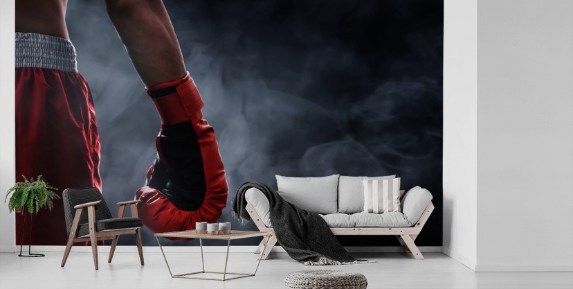 Boxing Wallpaper and Boxing Wall Murals | Wallsauce AE