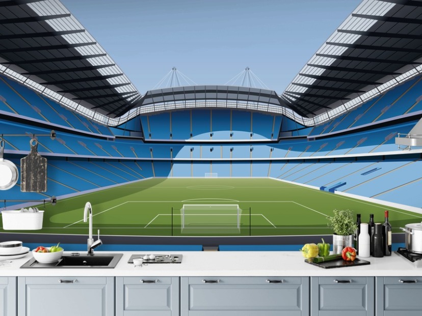 Stadiums by Matthew J I Wood | Wallsauce UK