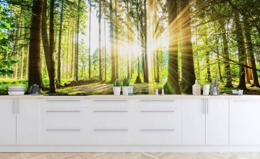 Panoramic Wallpaper - Panoramic Wall Murals | Wallsauce UK