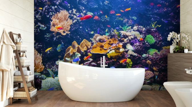 Fish Wallpaper & Sea Life Wall Murals | Wallsauce EU