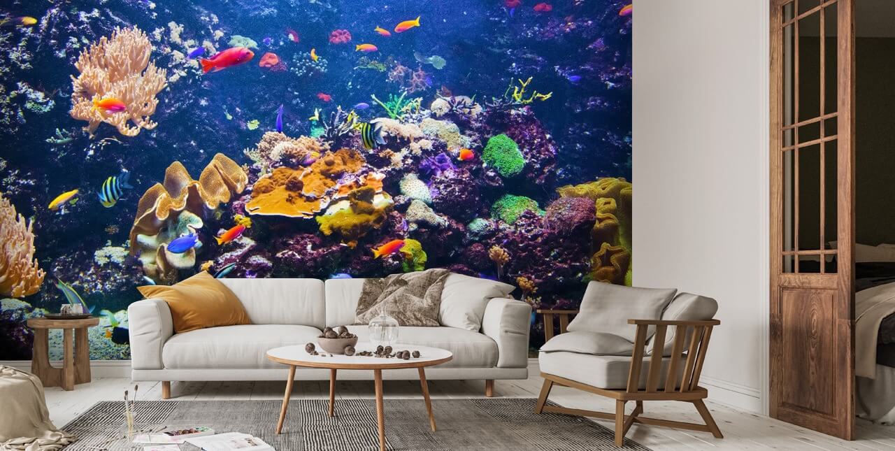 Colourful Fish & Coral Wall Mural | Wallsauce UK