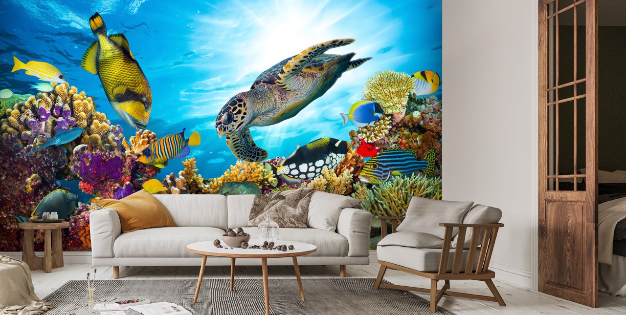 Coral Reef Wallpaper Murals