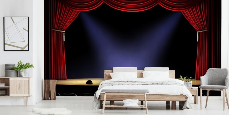 Performing Arts Wallpaper & Wall Murals | Wallsauce UK