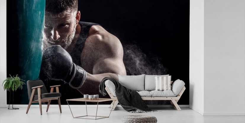 Boxing Wallpaper and Boxing Wall Murals | Wallsauce US