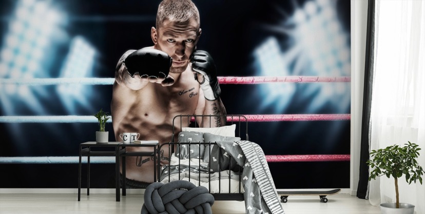 MMA Wallpaper & Martial Arts Murals | Wallsauce US