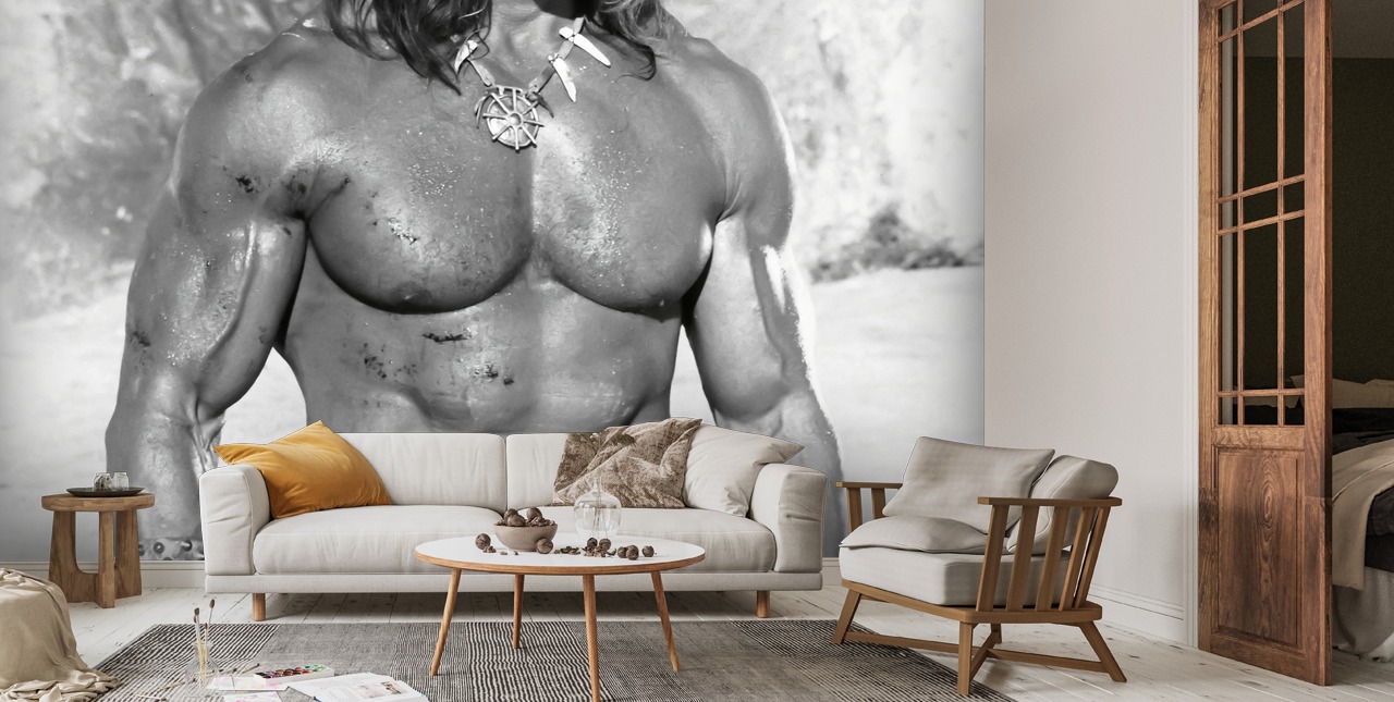 Arnold Schwarzenegger (Conan the Destroyer) Mural | Wallsauce UK