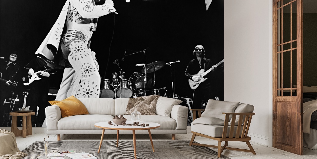 Elvis Presley (Elvis on Tour) Wallpaper Mural | Wallsauce CA