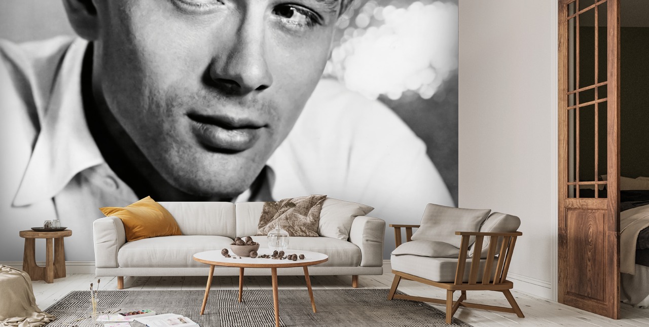 James Dean II Movie Wallpaper Mural | Wallsauce US
