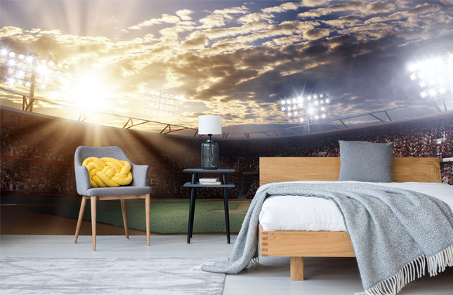 Baseball Wallpaper & Wall Murals | Wallsauce AU