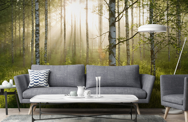 Image Source Wall Murals | Wallsauce US