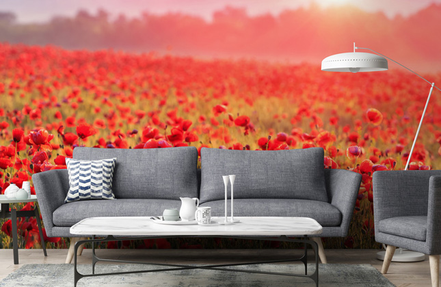 Poppy Wallpaper & Wall Murals | Wallsauce UK