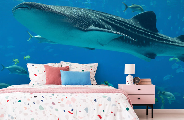 Shark Wallpaper & Wall Murals | Wallsauce AU