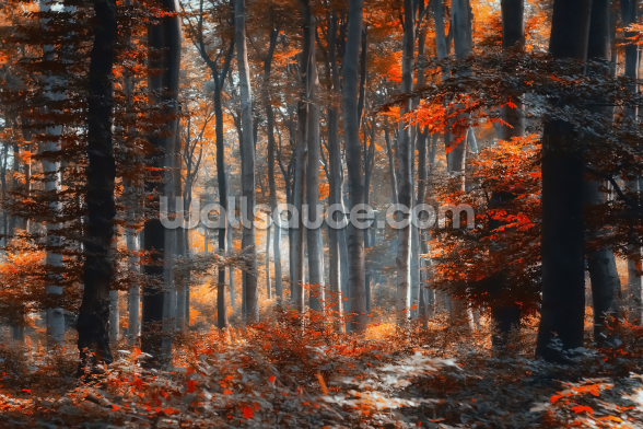 Painting Forest Wall Mural | Wallsauce UK