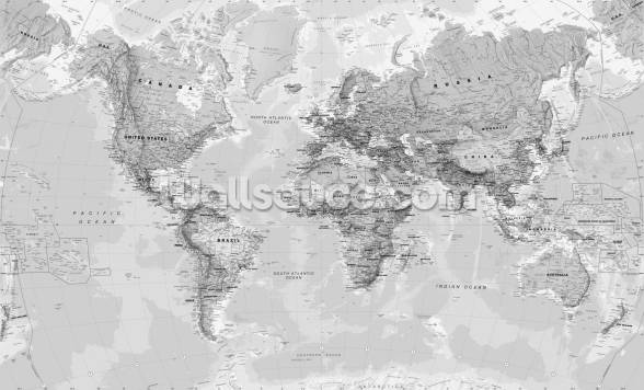 Political World Map Wallpaper Mural | Wallsauce NZ