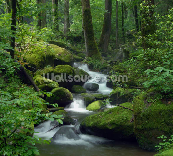 Mossy Waterfall Wallpaper | Wallsauce AU