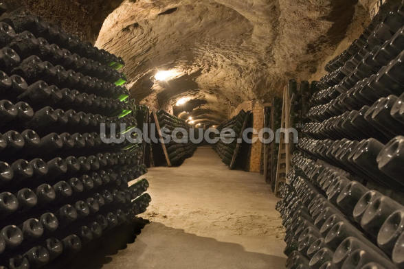 Wine Cellar Cave Wall Mural | Wallsauce US