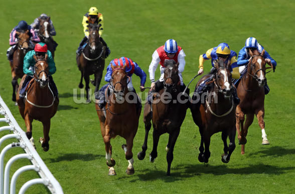 Horse Racing 5 Wallpaper | Wallsauce UK