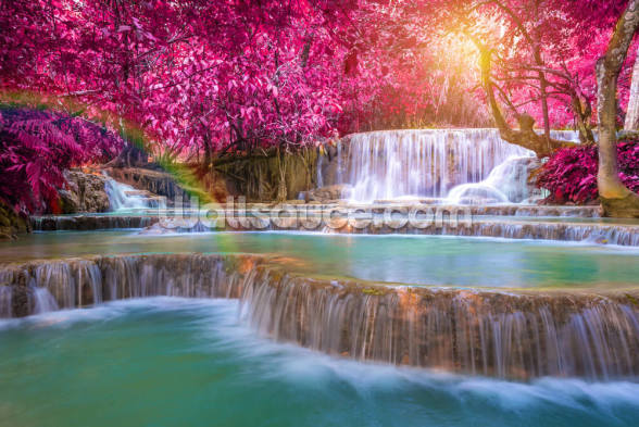 Blossom Waterfall Wall Mural Wallpaper | Wallsauce AU