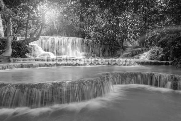 Papel pintado mural de la cascada de las flores | Salsa de pared ES