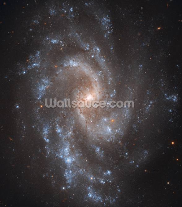 Hubble's View of NGC 5584 Wallpaper | Wallsauce UK