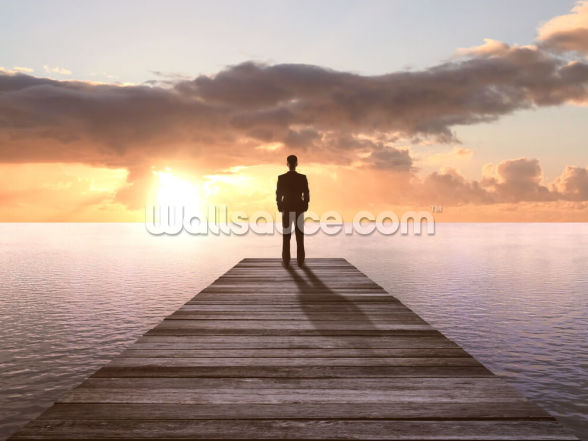 Reflective Moment Wallpaper Mural | Wallsauce US