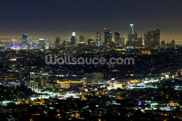 Downtown LA Wallpaper Mural | Wallsauce US