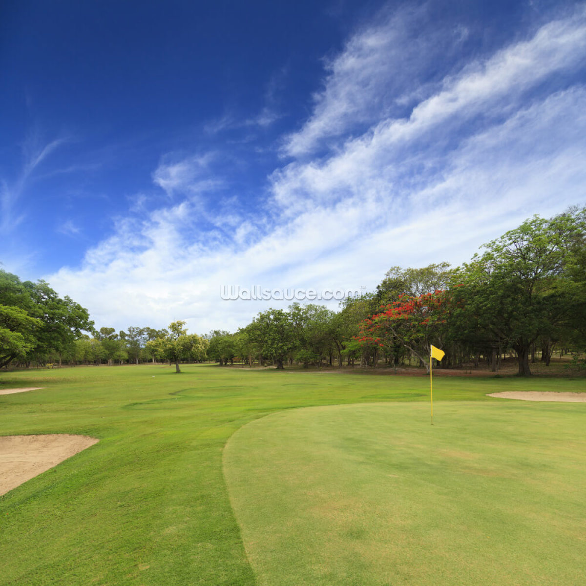 Golf Course Wall Mural | Wallsauce US
