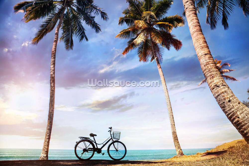 Beach Bicycle Wallpaper | Wallsauce US