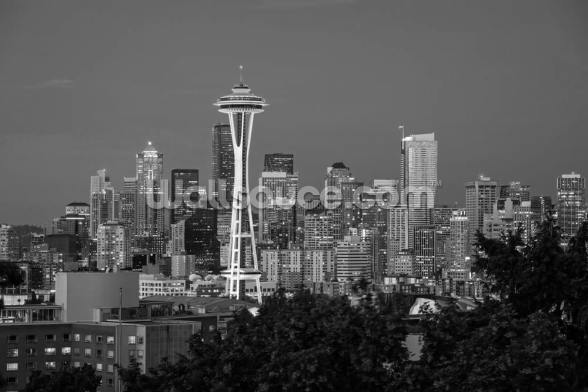 Seattle Skyline Wallpaper Mural | Wallsauce AU