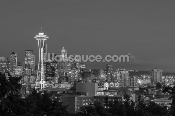 Seattle Skyline and Mount Rainier Wallpaper Mural | Wallsauce US