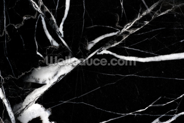 Black Marble Effect Wall Mural | Wallsauce UK