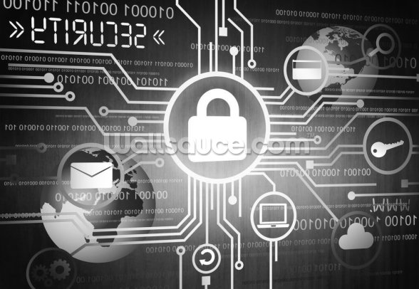 Internet Security System Wallpaper Mural | Wallsauce US