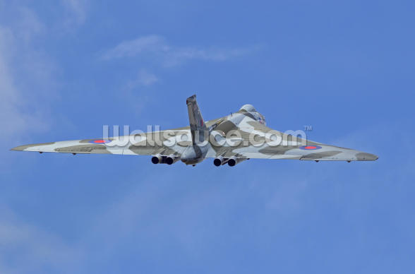 Avro Vulcan Bomber Rear View Wall Mural | Wallsauce AU