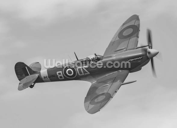Supermarine Spitfire Mk IX Wall Mural | Wallsauce AU