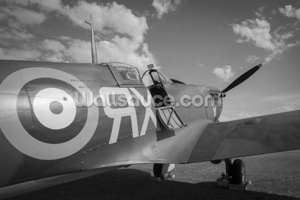 Supermarine Spitfire up close Wall Mural | Wallsauce UK