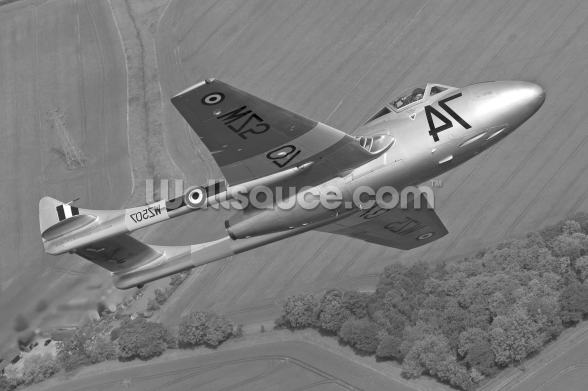 De Havilland Vampire Jet Trainer -seinämaalaus | Wallsauce FI