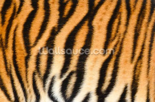 Tiger Print Wallpaper | Wallsauce UK