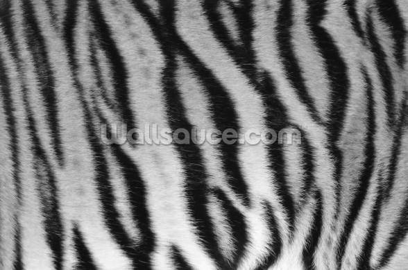 Tiger Print Wallpaper | Wallsauce UK