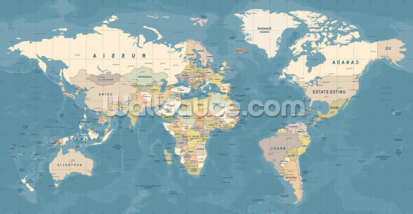 Map of the World Mural | Wallsauce US