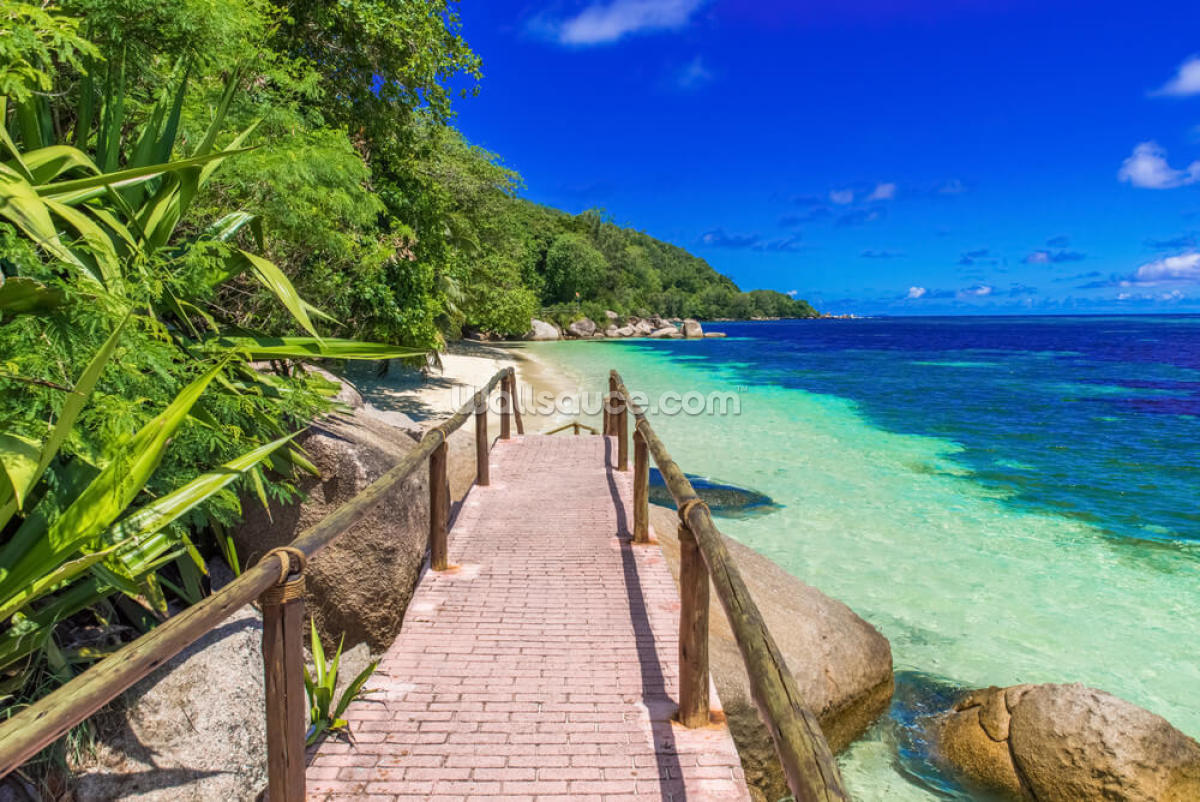 Path at Paradise Coast Wallpaper Mural | Wallsauce US