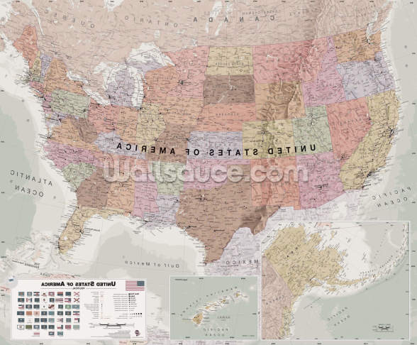USA Political Map Neutral Colours Wallpaper | Wallsauce US