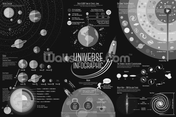 Universe Infographic - Solar System Wallpaper | Wallsauce US