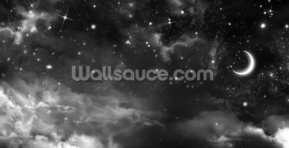 Beautiful Background Nightly Sky Wall Mural | Wallsauce CA