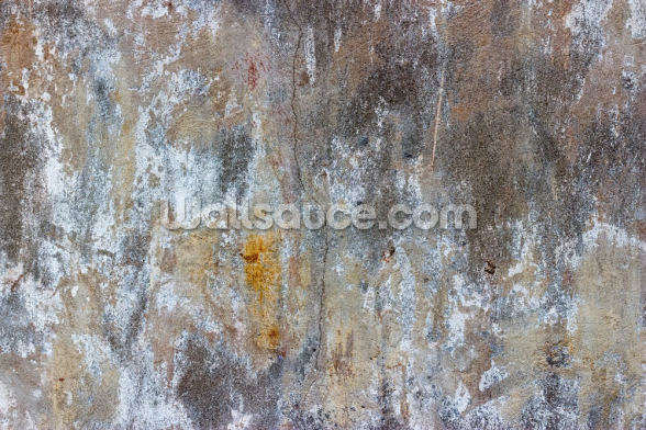 Textures of Colour Wallaper | Wallsauce US