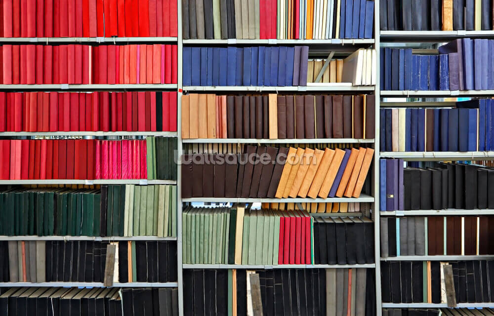 Colourful Library Wall Mural | Wallsauce US
