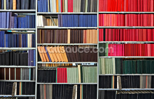 Colourful Library Wall Mural | Wallsauce NZ