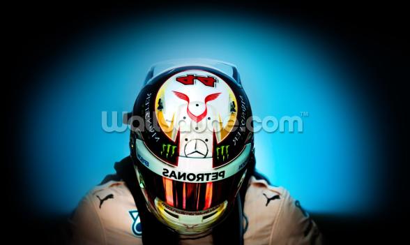 Lewis Hamilton Wall Mural | Wallsauce US
