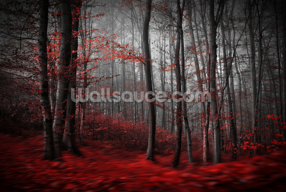 Red Carpet Forest Wall Mural | Wallsauce CA