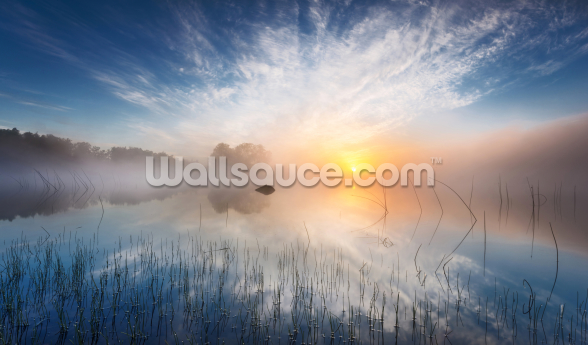 Reflection Wallpaper | Wallsauce US
