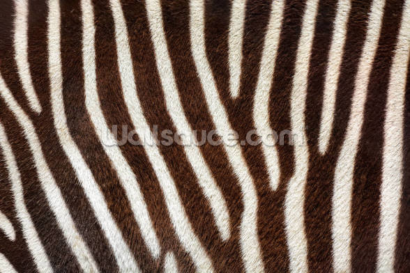 Brown Zebra Print Wallpaper Mural | Wallsauce CA